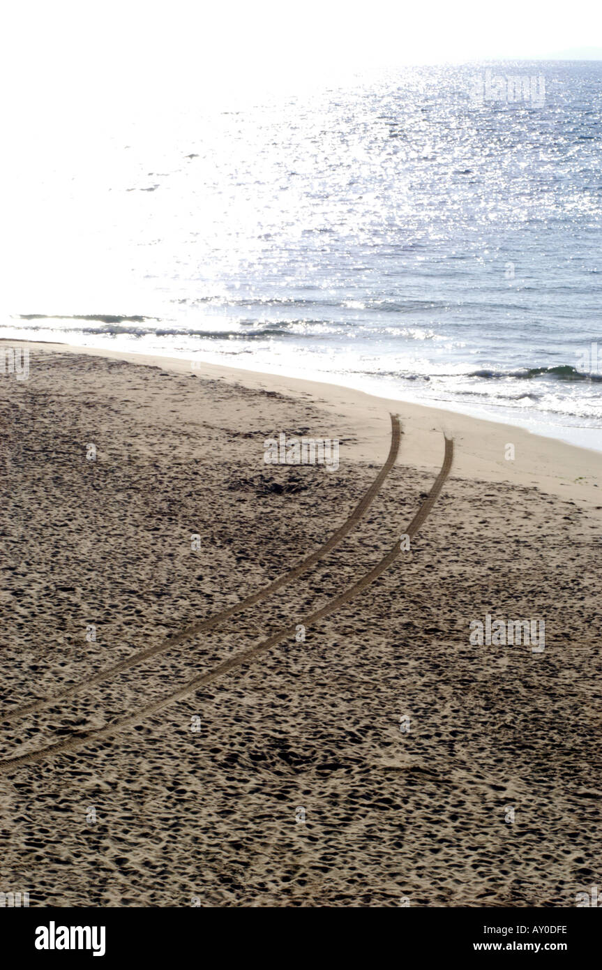 Tyre tracks driving into sea Stock Photo - Alamy