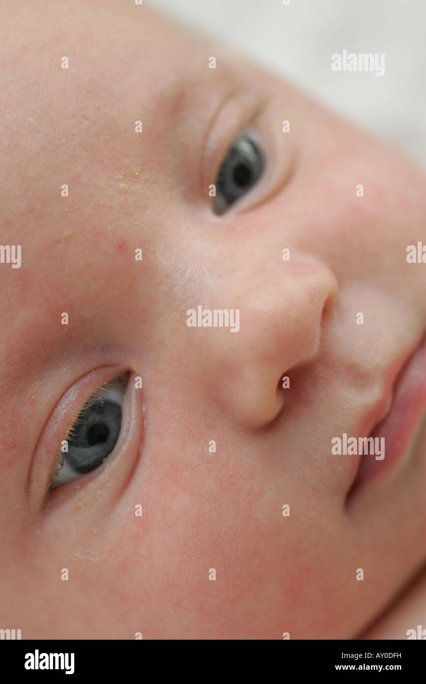8 week old baby Stock Photo - Alamy