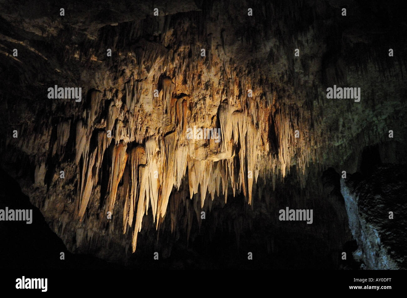 Stalactites in the Big Room of the Carlsbad Caverns National Park, New ...