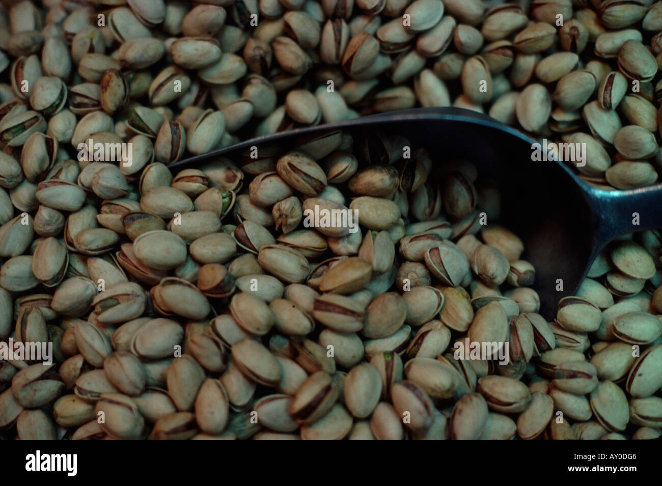 closeup of pistachio nuts with scoop in jeddah saudi arabia middle east ...