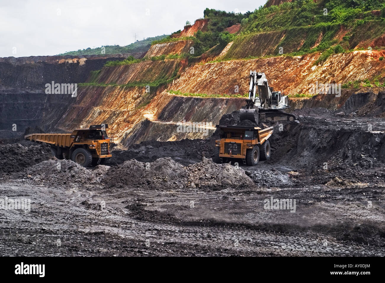 Dump haul trucks being filled with gold ore body for transport from ...
