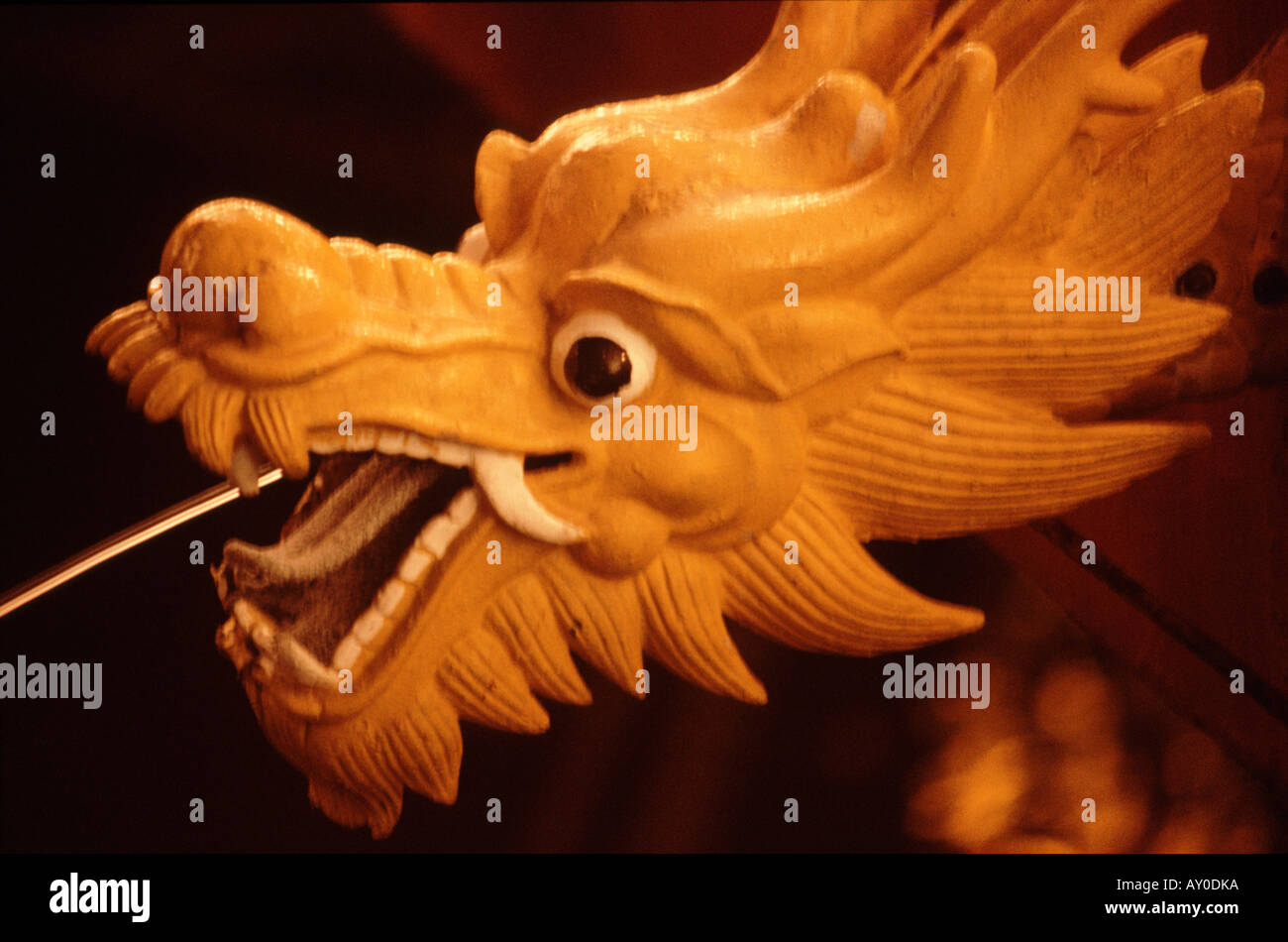 dragon head shooting water out yellow statue head on jumbo floating ...