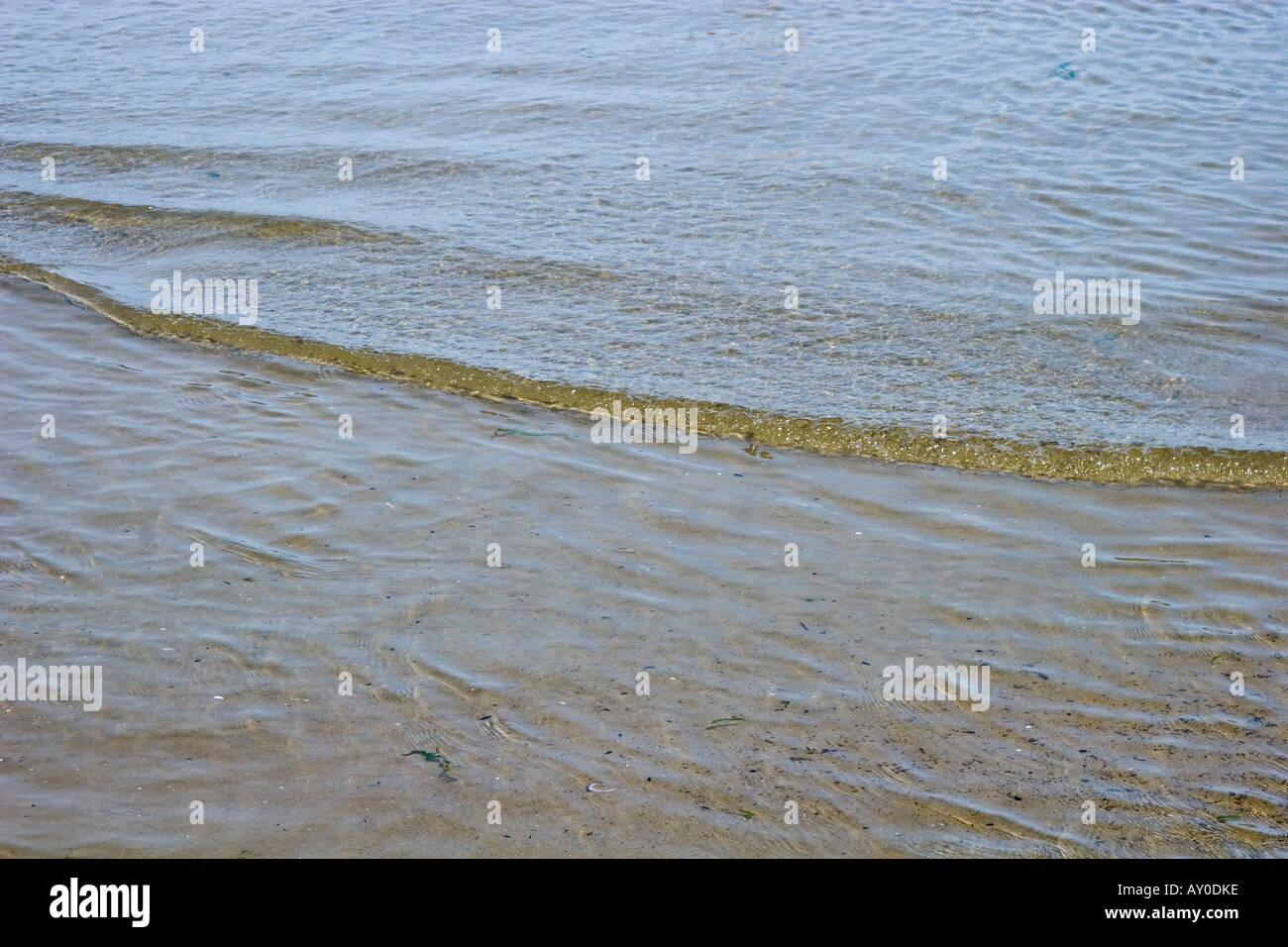 sea, beach, sand, water, transparent, clear, shells, seaweed, nature ...