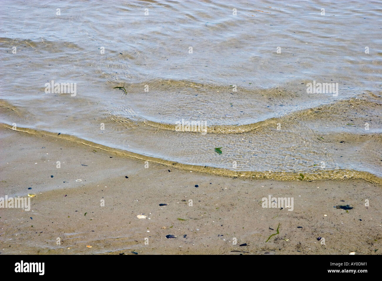 sea, beach, sand, water, transparent, clear, shells, seaweed, nature ...