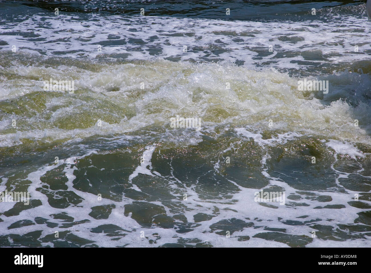 Foam and seaweed hi-res stock photography and images - Alamy