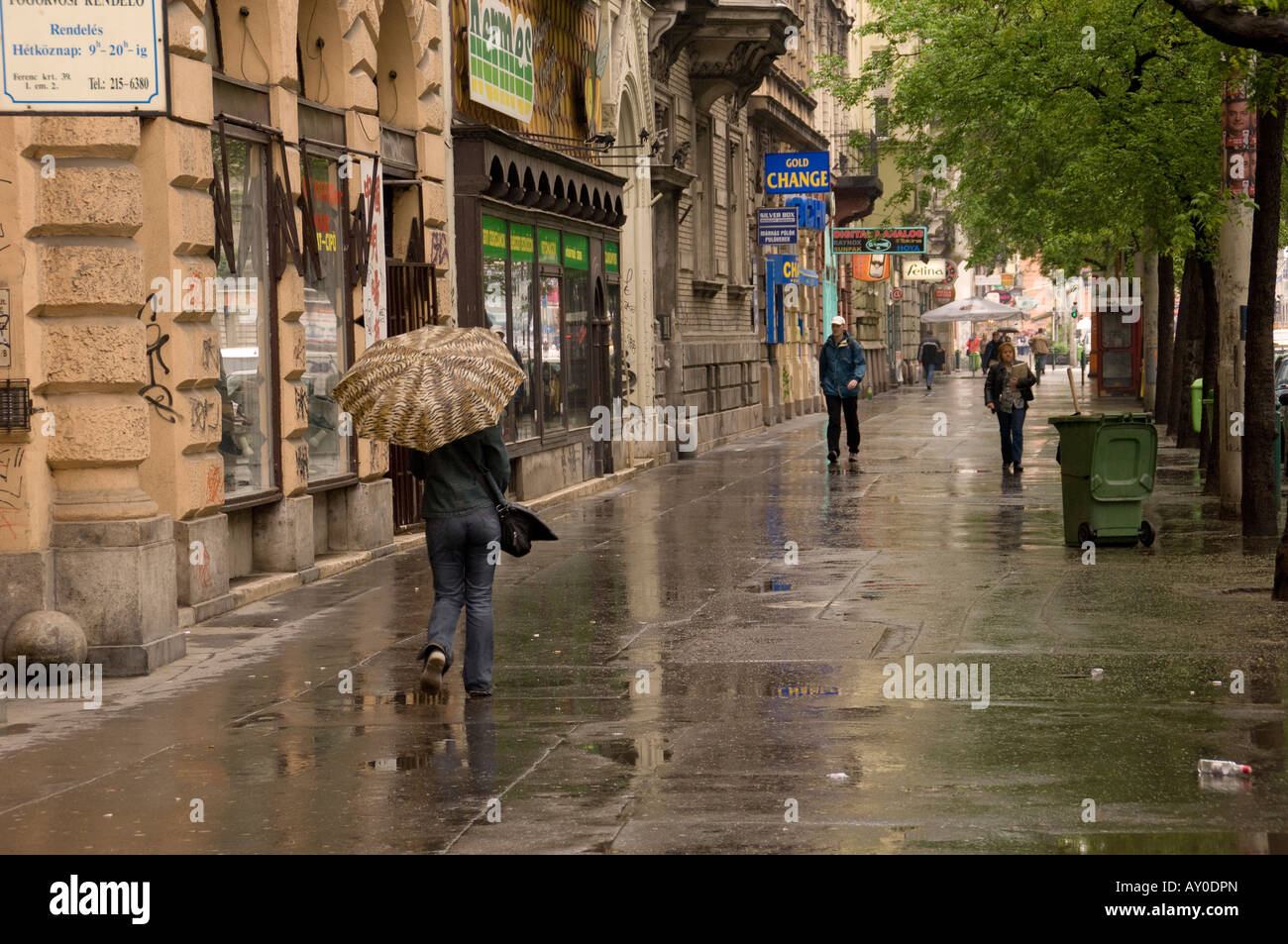 Raining and Wet Street Scene in Budapest, Hungary Stock Photo - Alamy