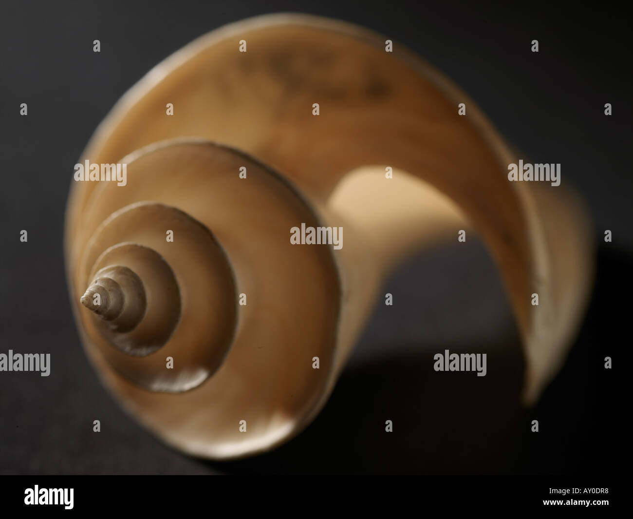 About spiral hi-res stock photography and images - Alamy