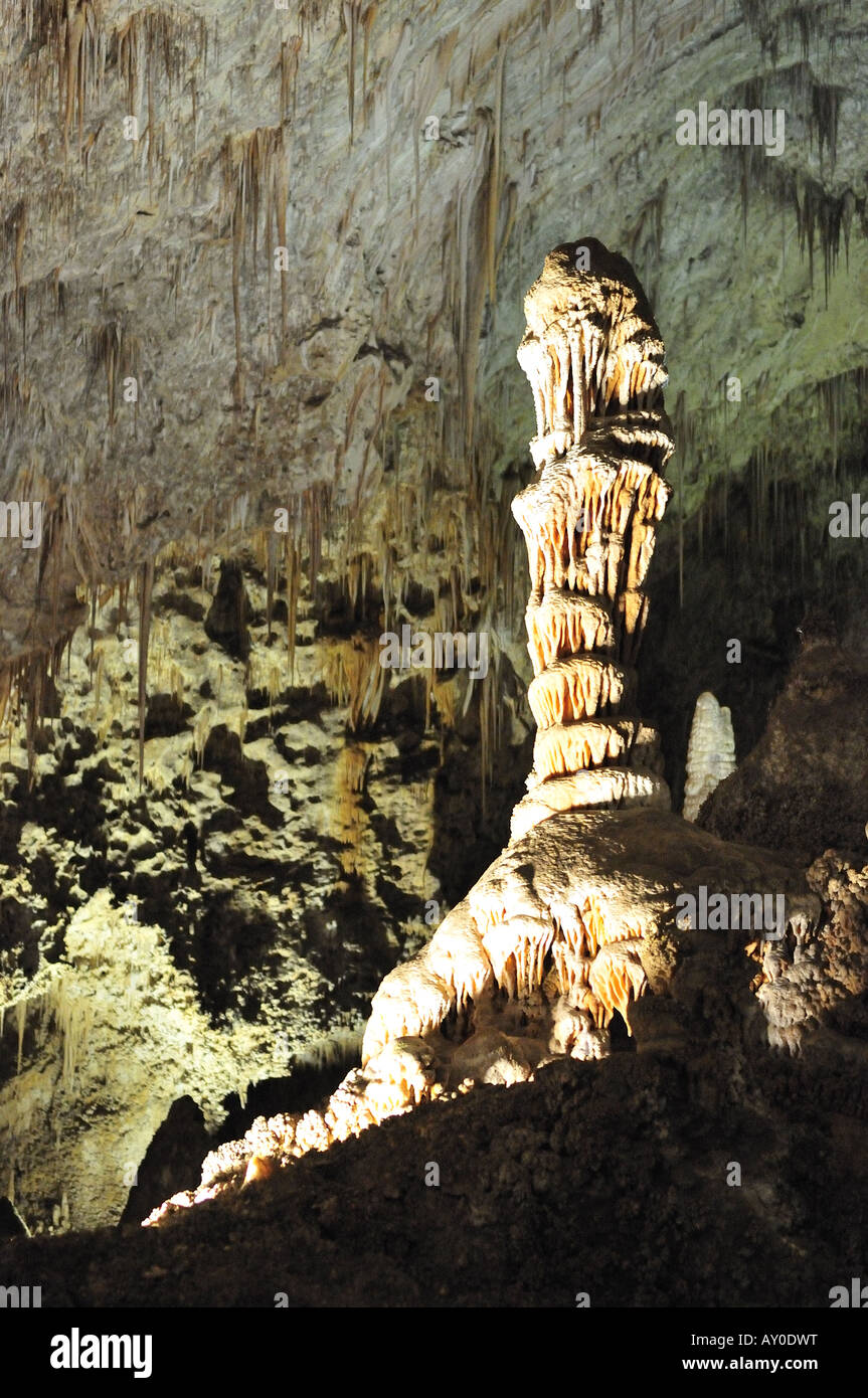 Stalagmite column in the Big Room of the Carlsbad Caverns National Park ...