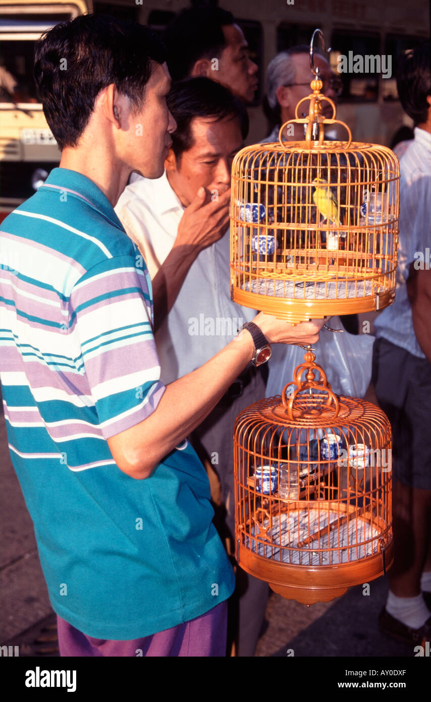 Man inside cage hi-res stock photography and images - Alamy