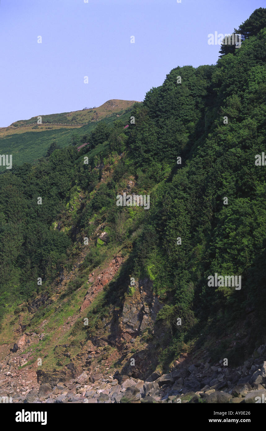Wooded devon cliffs hi-res stock photography and images - Alamy