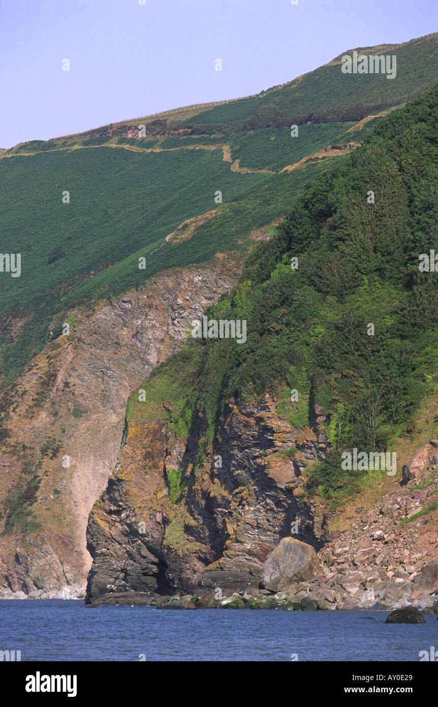 Wooded devon cliffs hi-res stock photography and images - Alamy