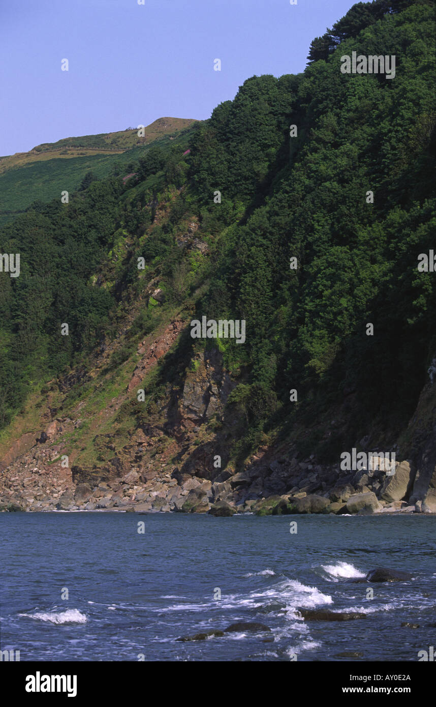 Wooded devon cliffs hi-res stock photography and images - Alamy