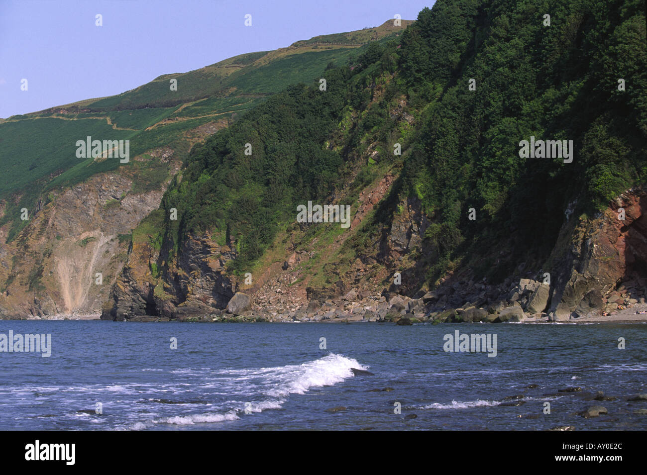 Wooded devon cliffs hi-res stock photography and images - Alamy