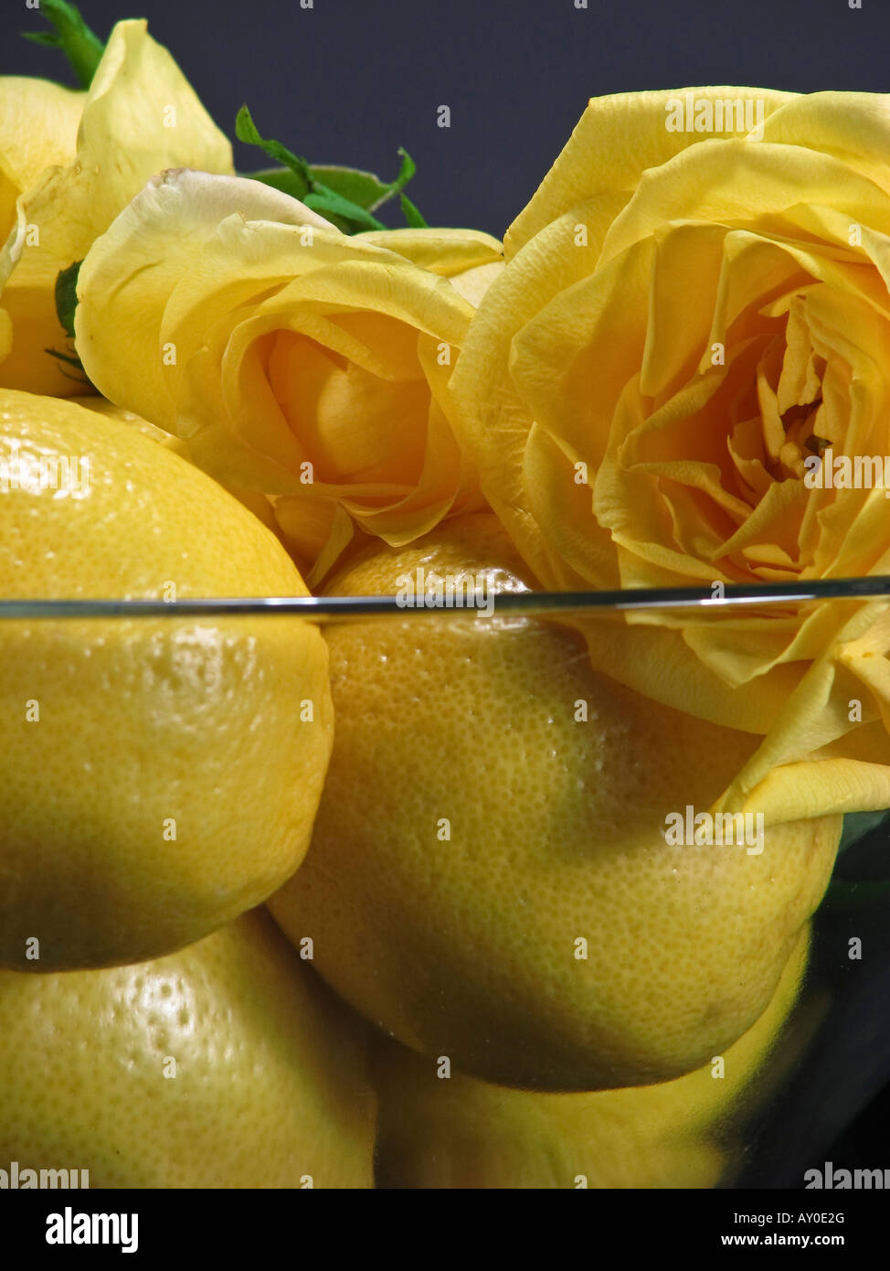 Fruits and flowers yellow lemons in a glass bowl black background close ...