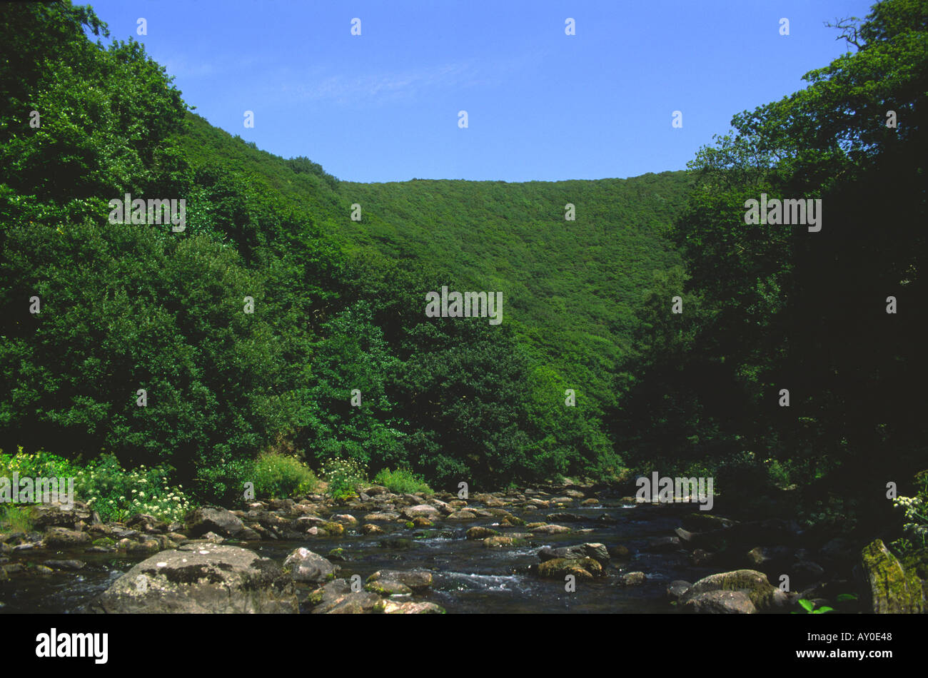 River Lyn Valley Watersmeet Devon Stock Photo - Alamy