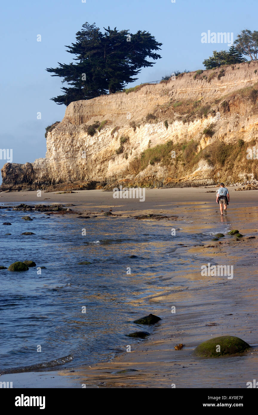 Leadbetter point hi-res stock photography and images - Alamy