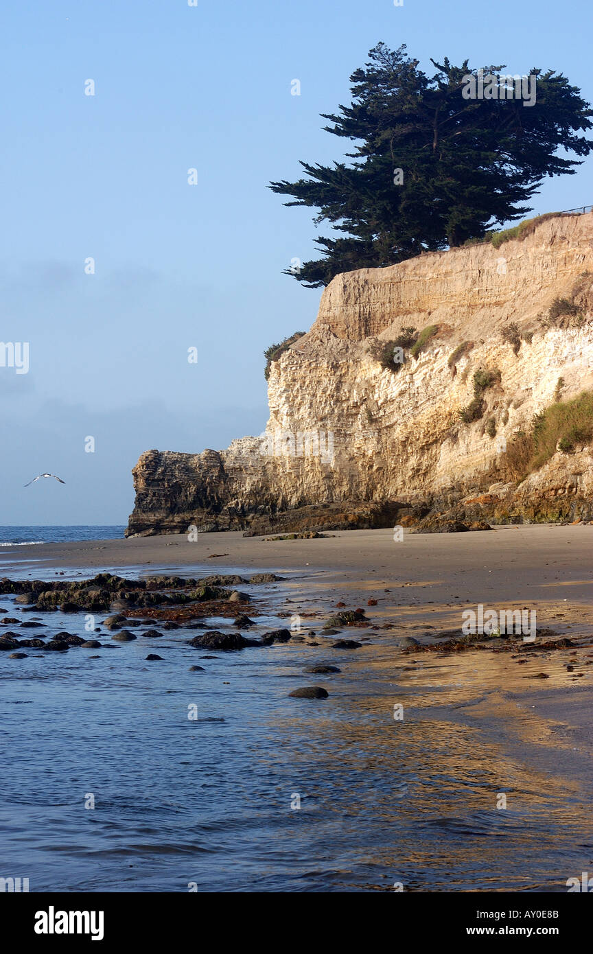 Photo of leadbetter beach hi-res stock photography and images - Alamy