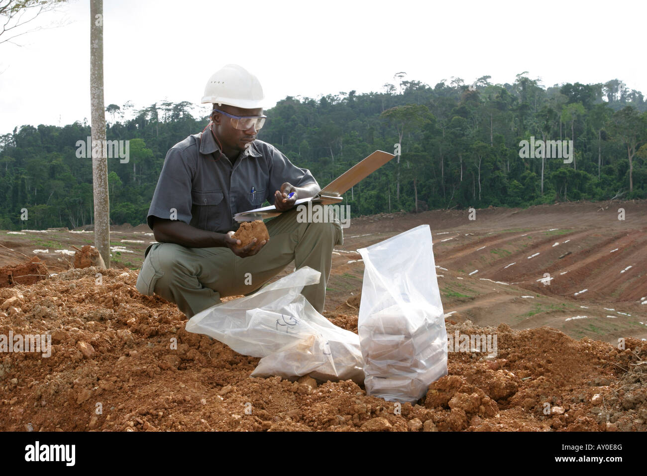 Grade control geologist checking ore samples during grade control ...