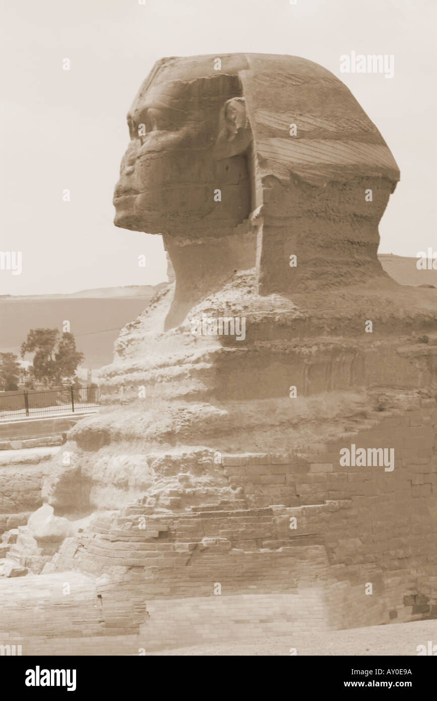 The Sphinx Cairo Egypt Stock Photo - Alamy
