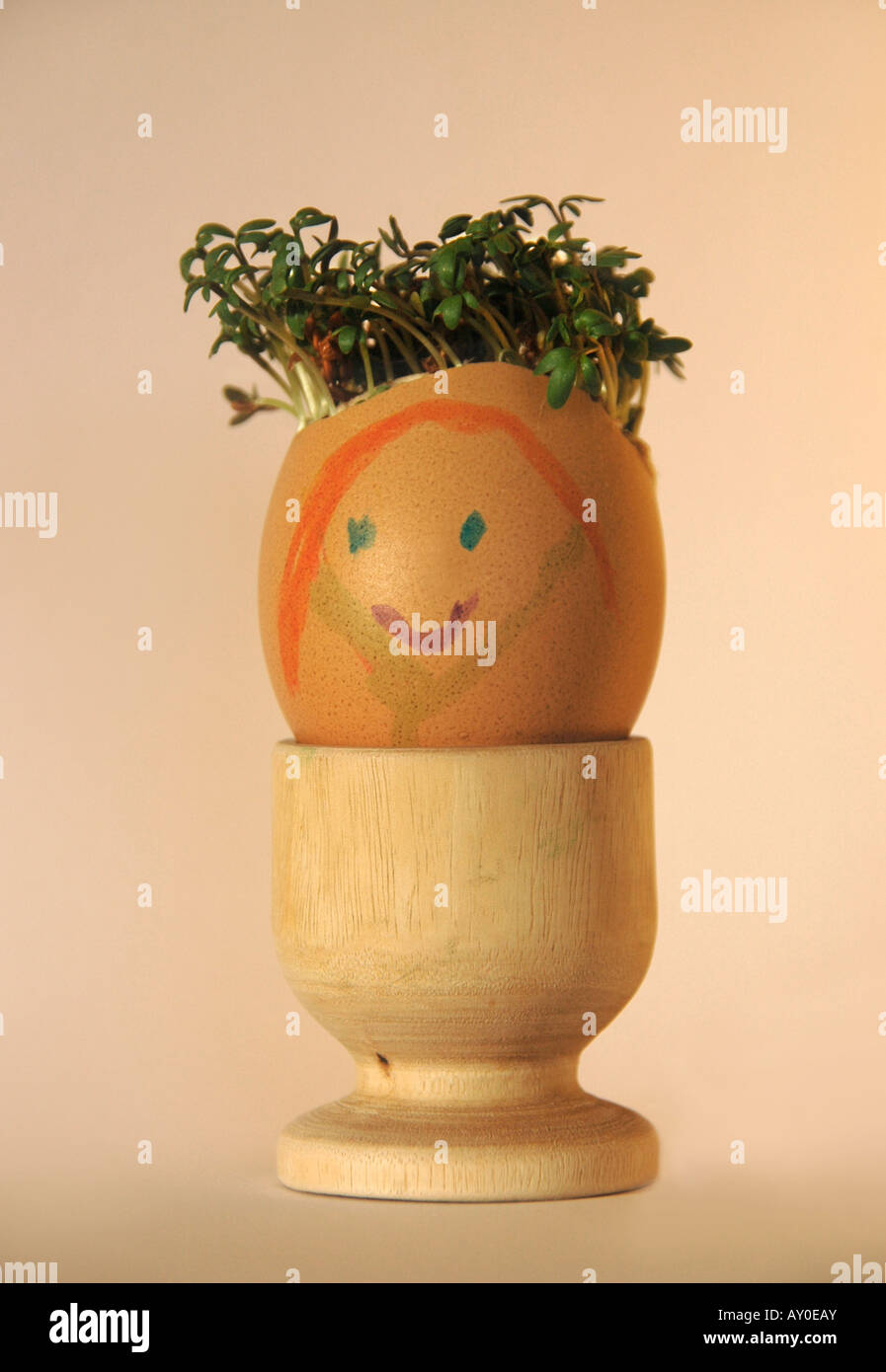 Cress ‘hair’ from an eggshell hi-res stock photography and images - Alamy