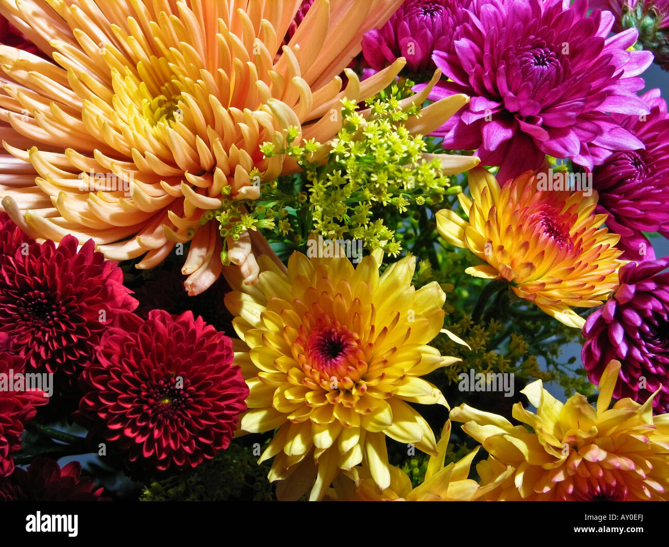 Beautiful bouquet of colorful flowers background from above overhead ...