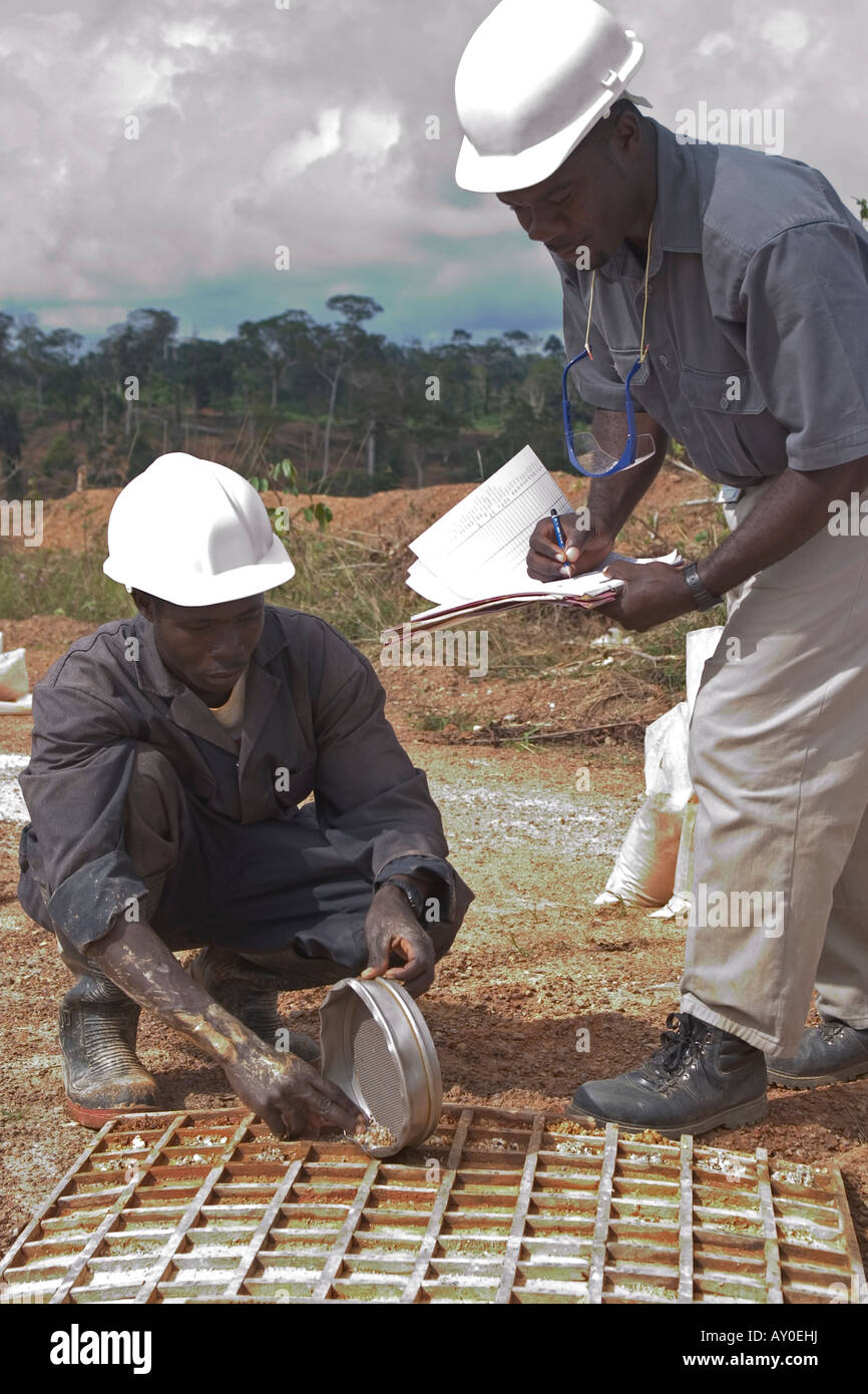 Geologist and grade control sampler logging drill chip samples, surface ...