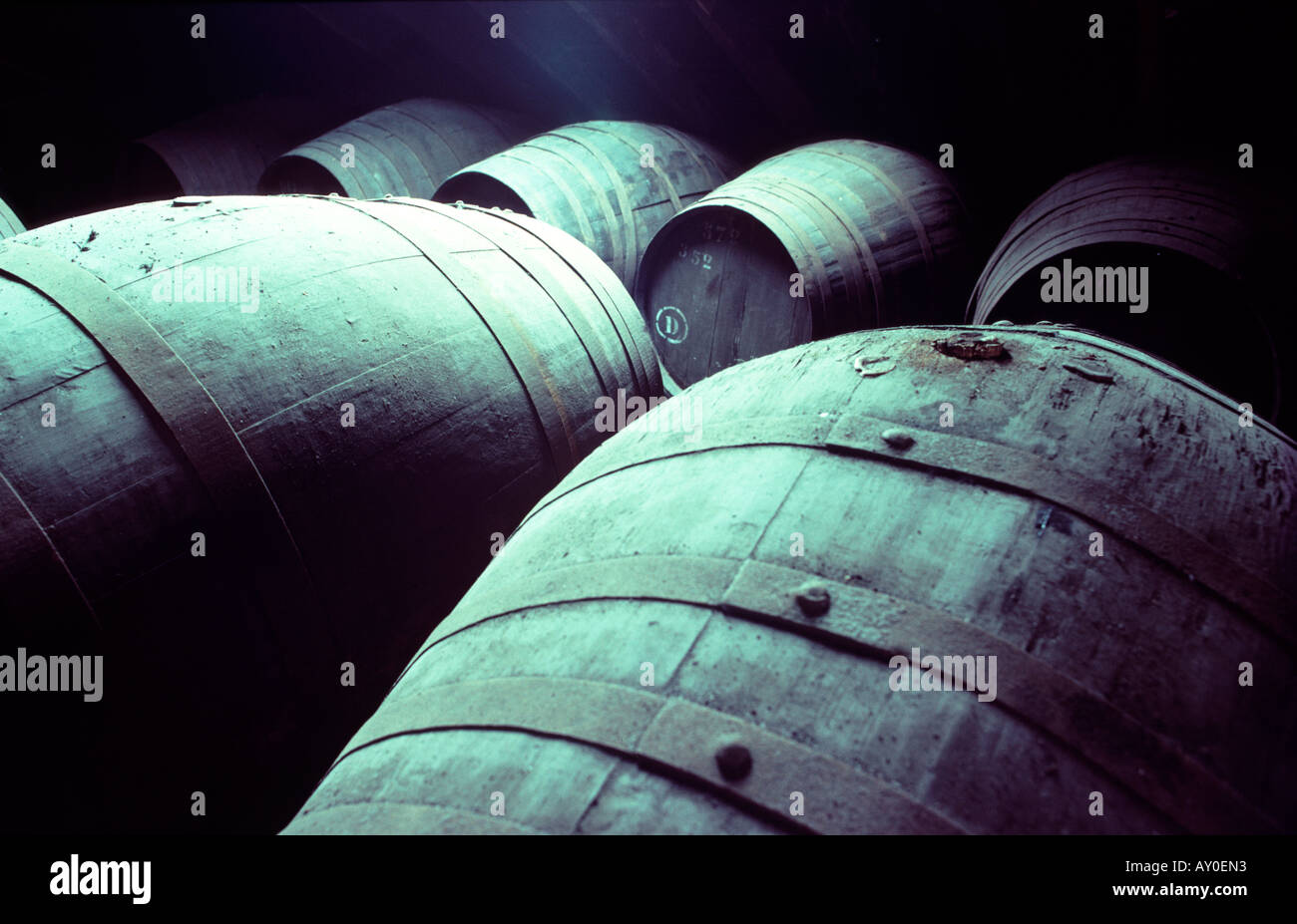 madeiran wine casks fermenting and ageing in loft of vineyard brewery ...