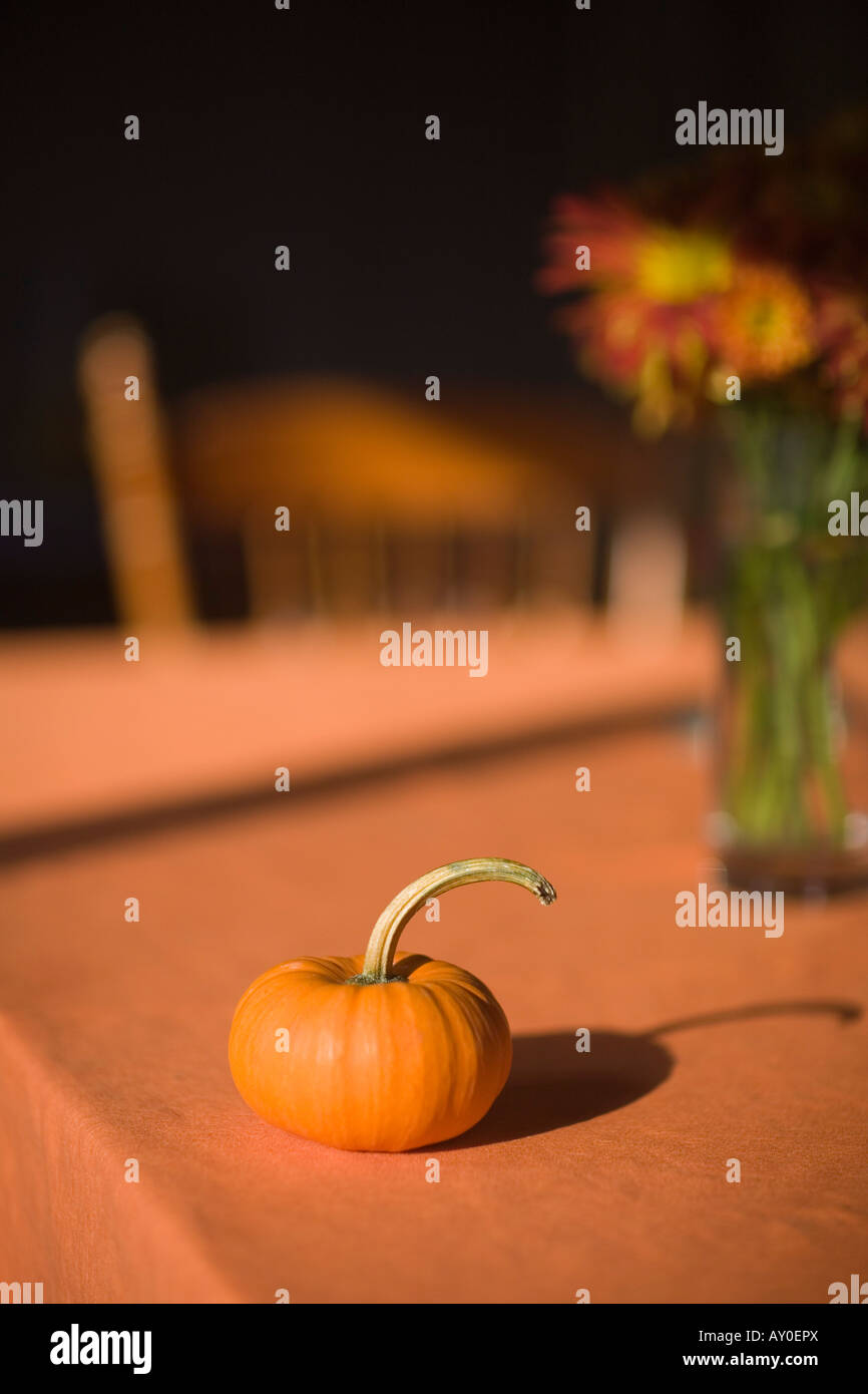 pumpkin on table Stock Photo - Alamy