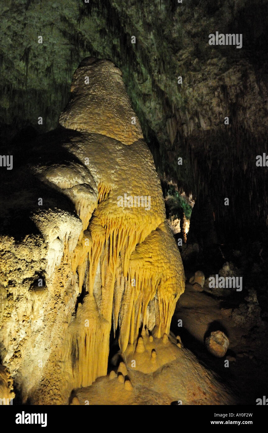 Stalagmite column in the Big Room of the Carlsbad Caverns National Park ...