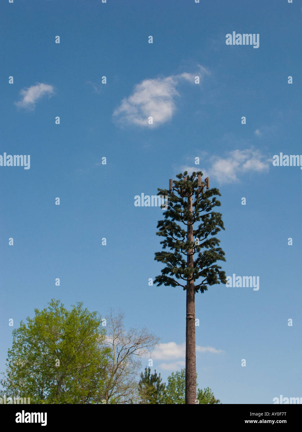 Mobile phone tower disguised as tree hi-res stock photography and ...