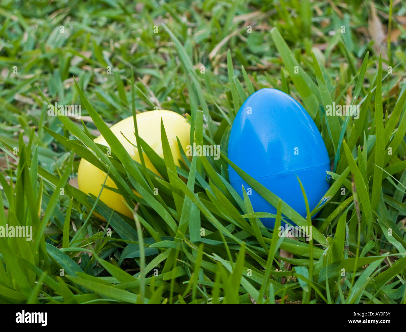 Easter eggs in grass Stock Photo - Alamy