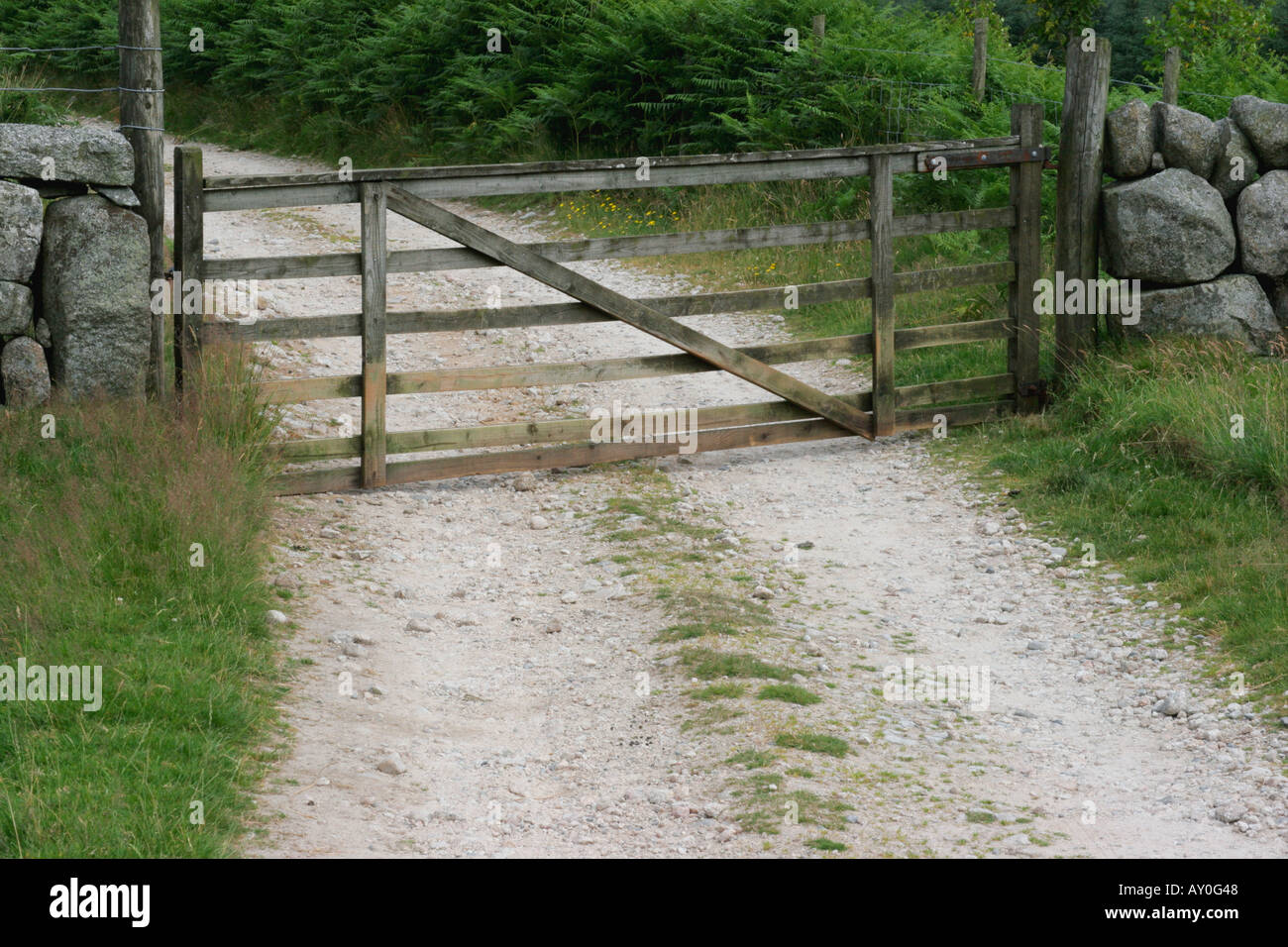 Closed wooden gate on farm road in Scotland Stock Photo - Alamy