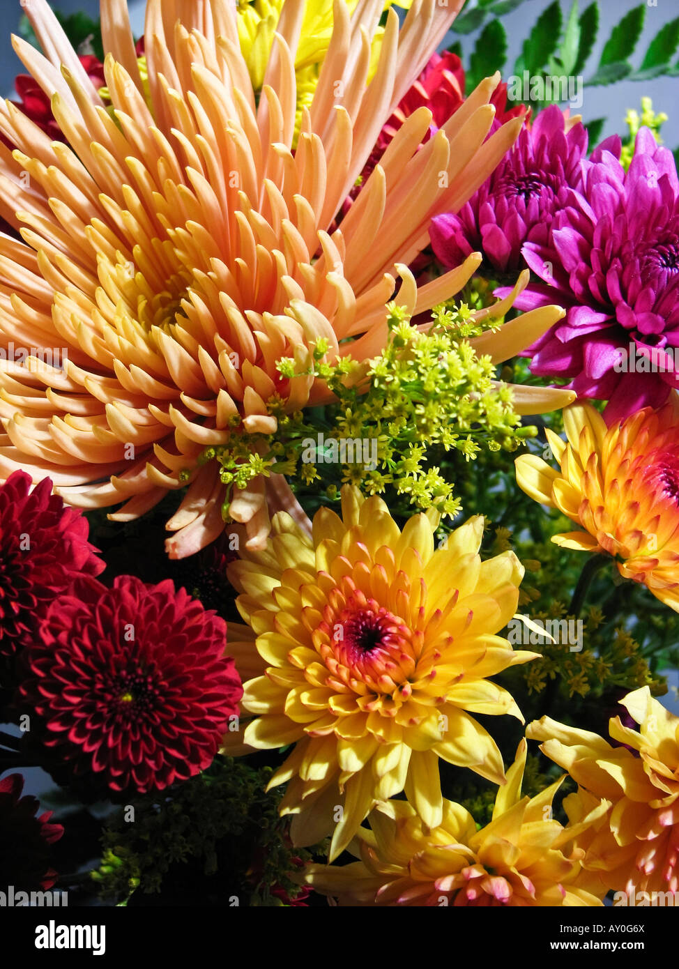 Beautiful bouquet of colorful flowers background from above overhead ...