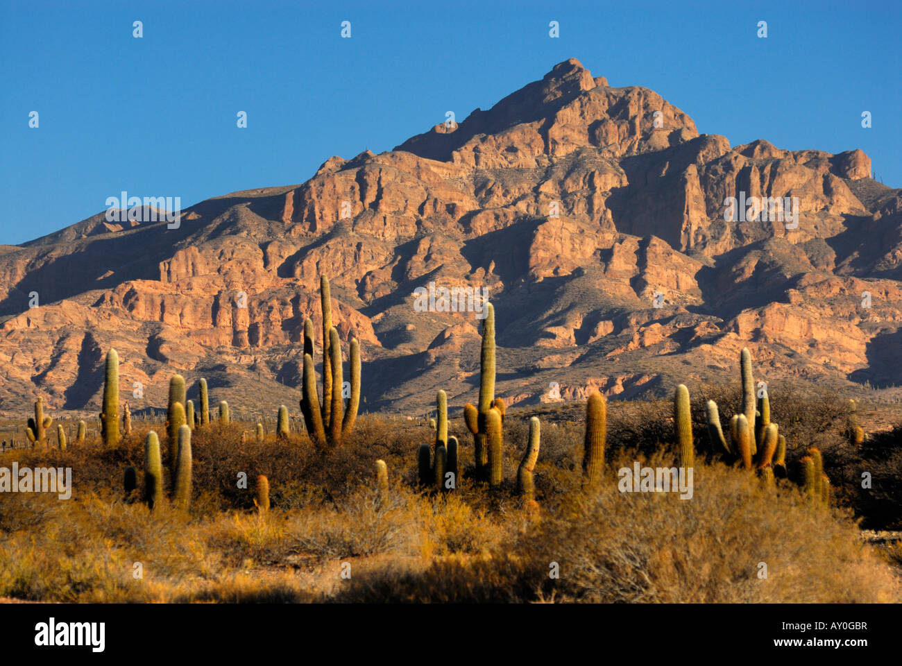 Los Cardones National Park in the Calchaqui Valleys, Province of Salta ...