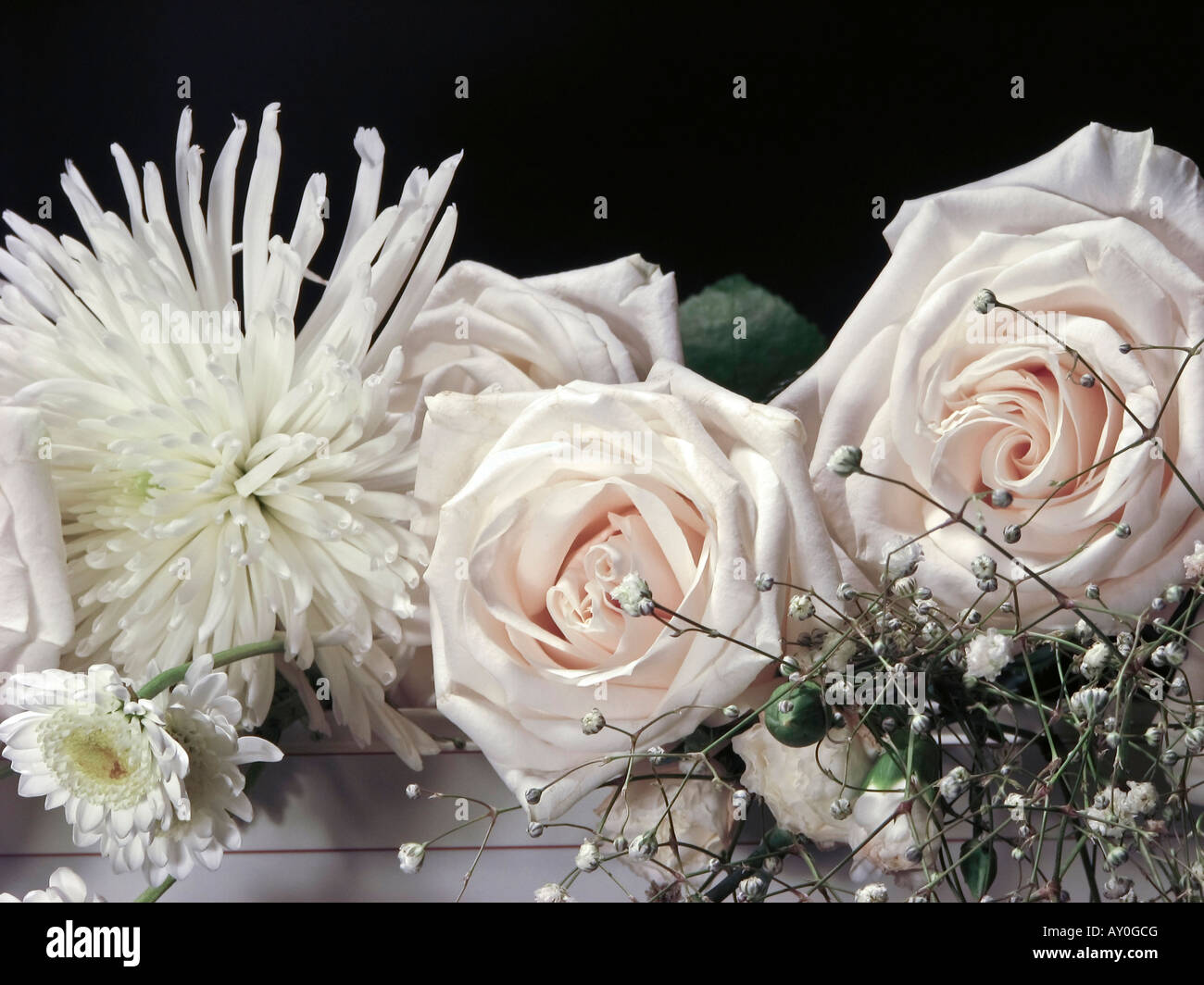 Bouquet of white roses with beautiful flowers on a black background ...