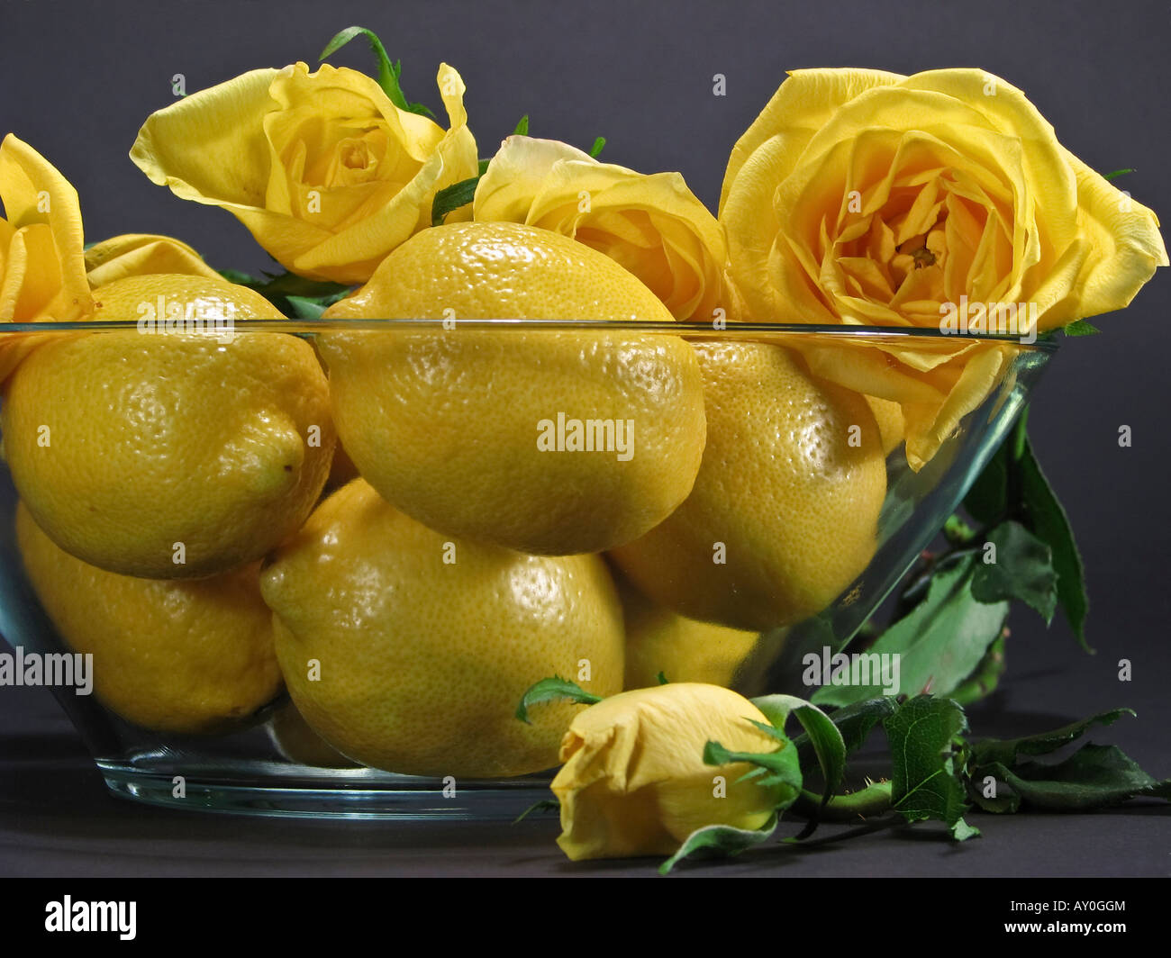 Fruits and flowers yellow lemons with yellow roses in a glass bowl ...