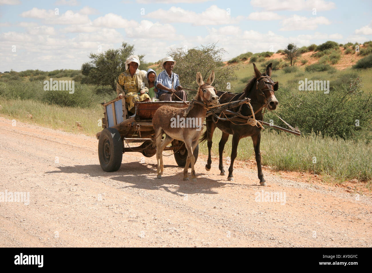 The African family Donkey cart Stock Photo - Alamy