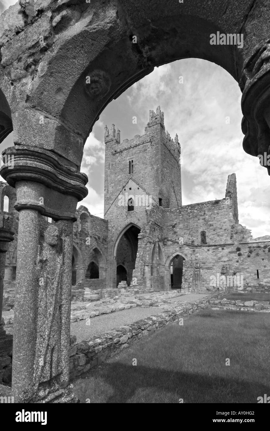 Ireland County Kilkenny Jerpoint Abbey Cloisters Stock Photo - Alamy