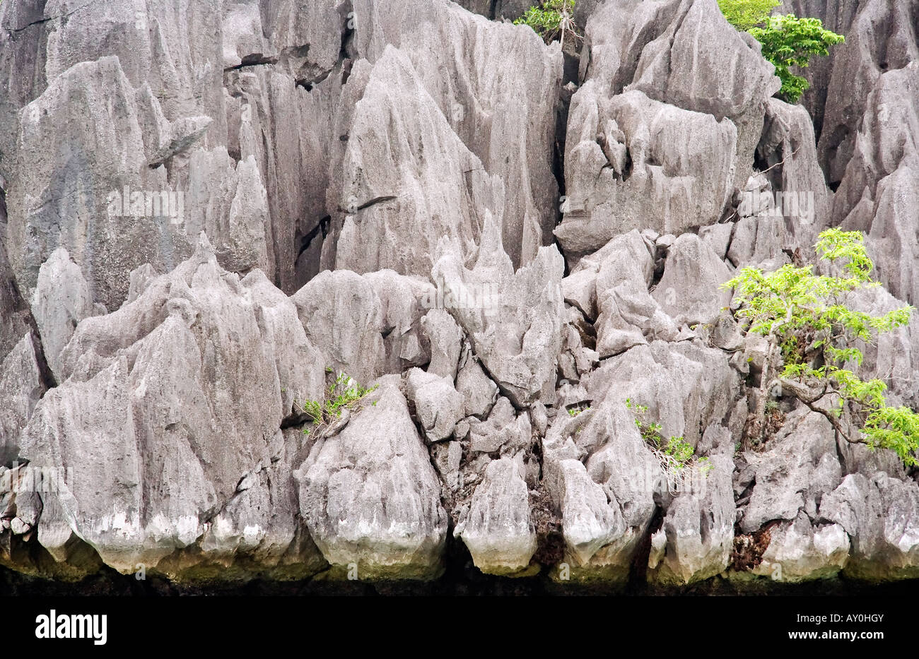 Island rock surface formation in Coron, Busuanga, Palawan Stock Photo ...