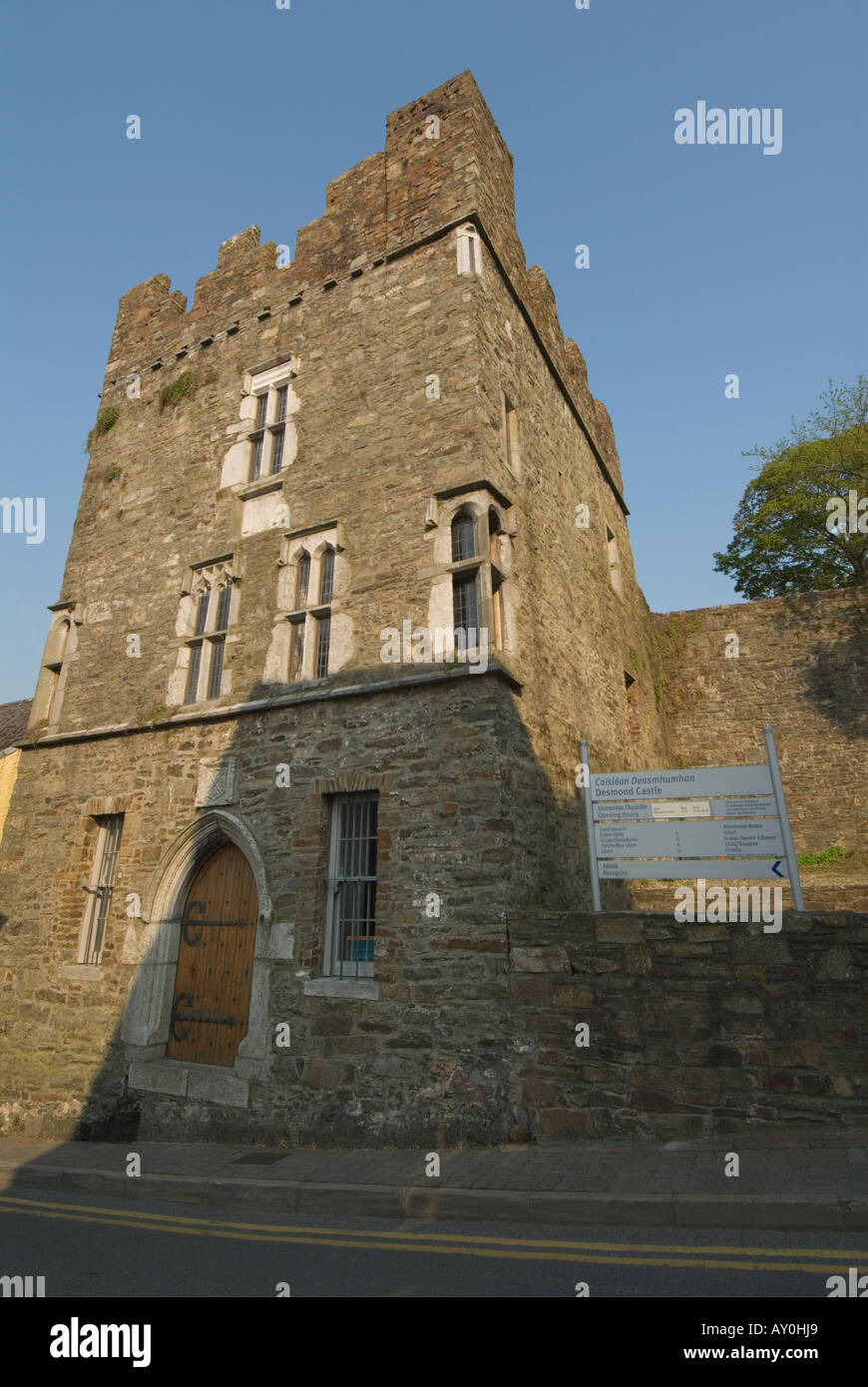 Desmond castle hi-res stock photography and images - Alamy