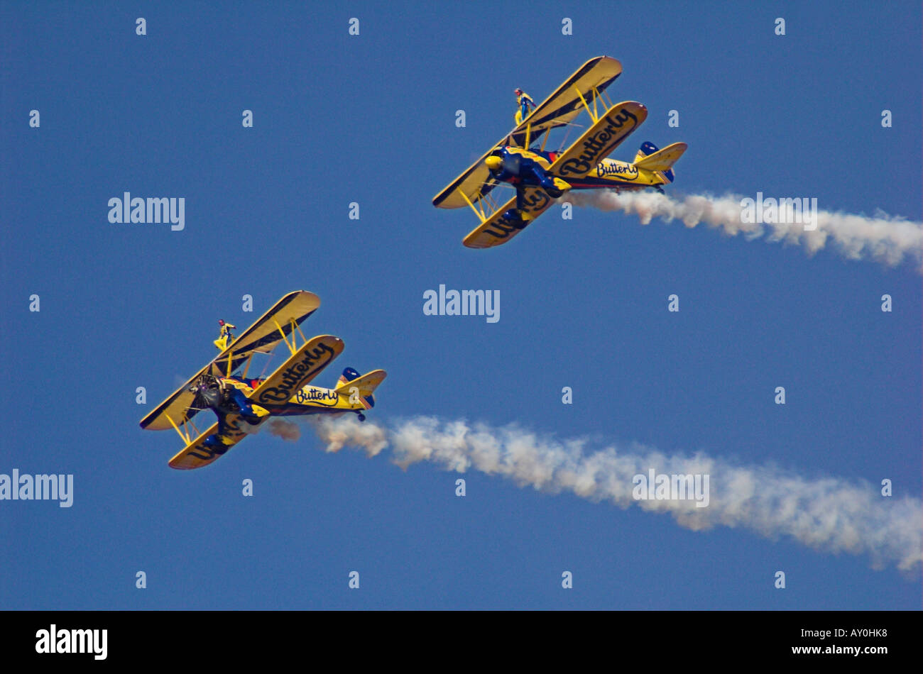 Utterly Butterly High Resolution Stock Photography and Images - Alamy
