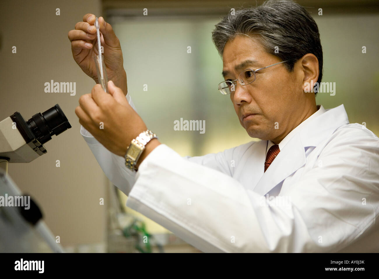 Doctor looking at test tube Stock Photo - Alamy