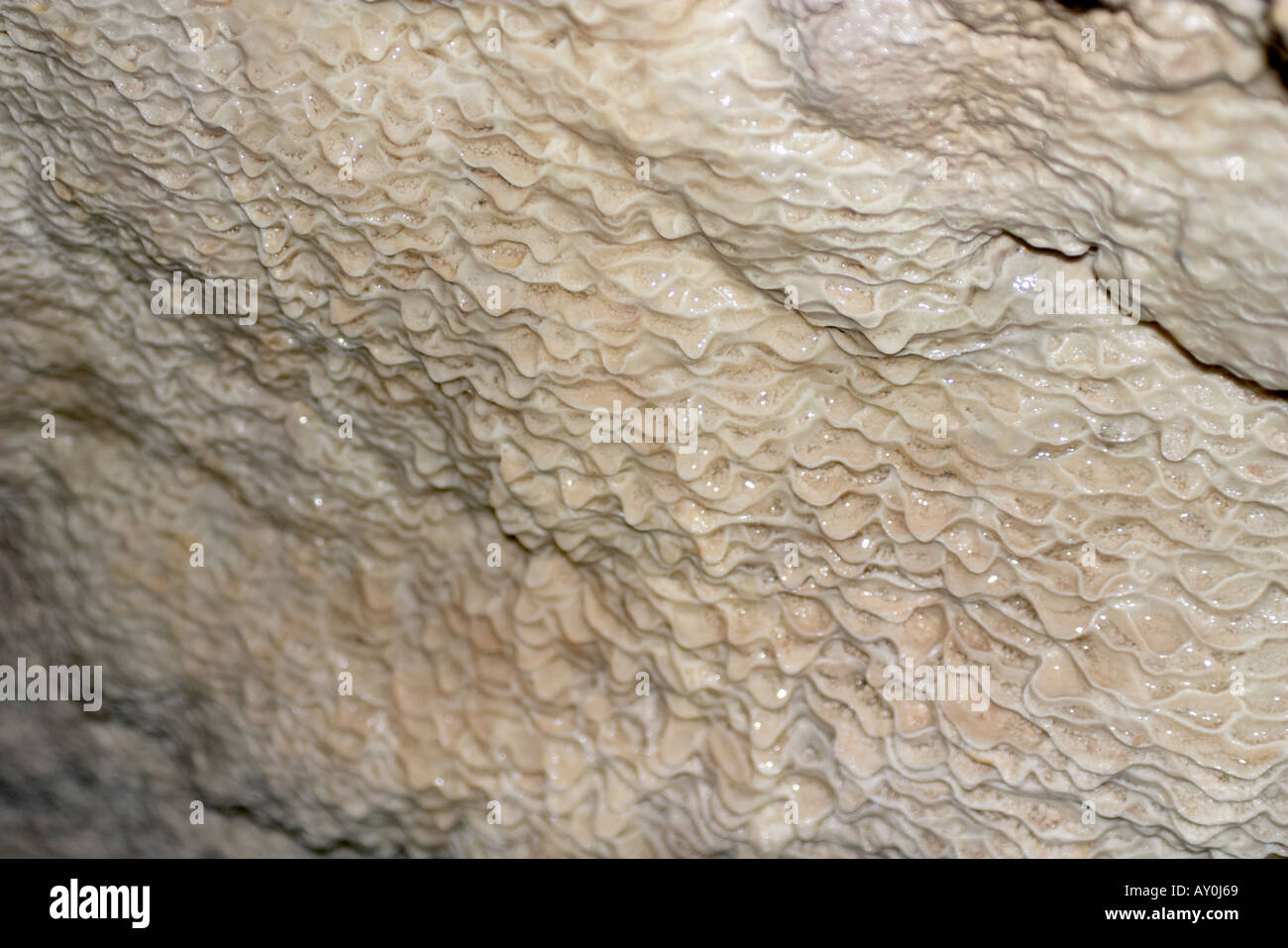 Limstone formation hi-res stock photography and images - Alamy