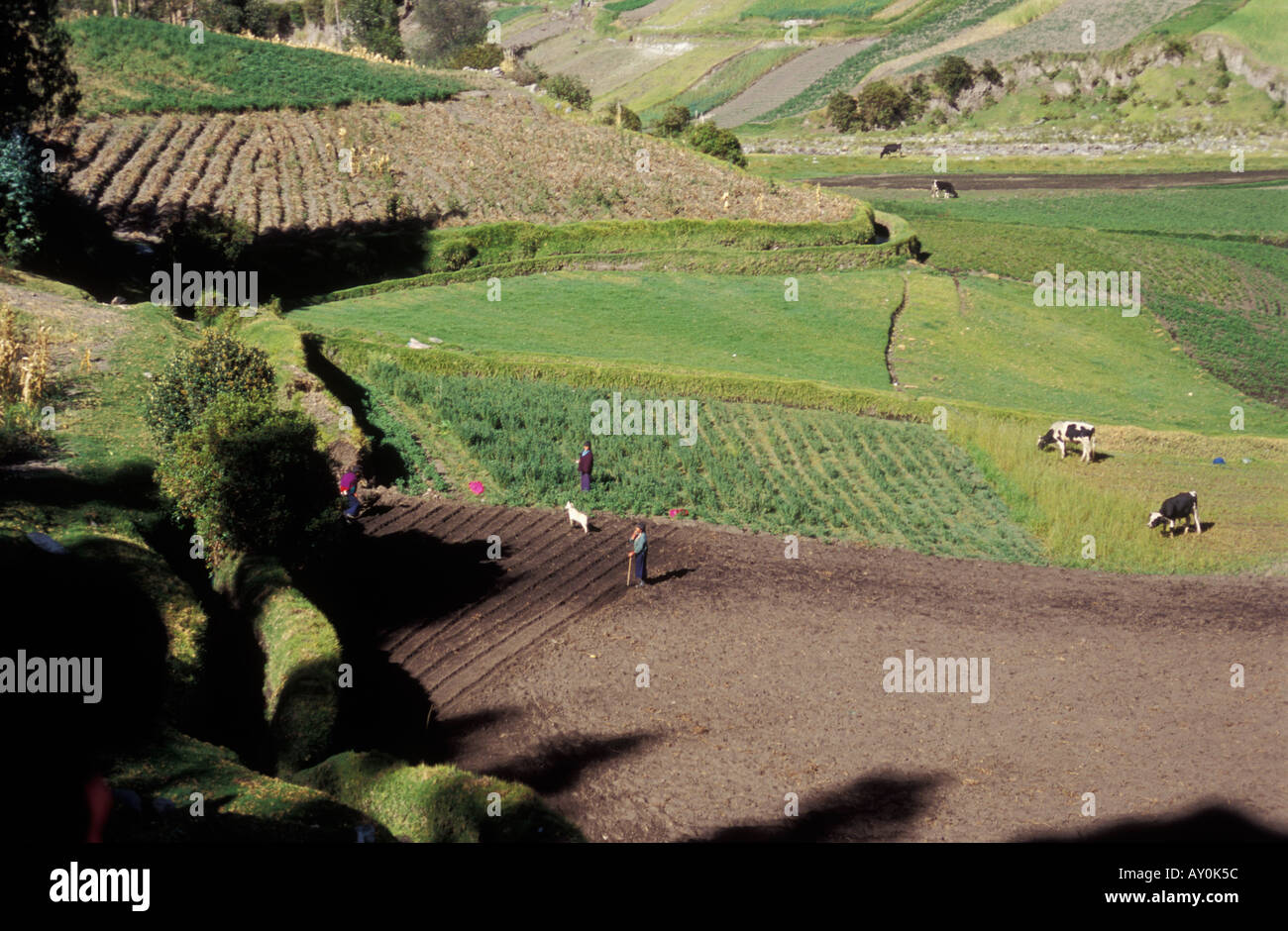 Ecuador rural countryside fields hi-res stock photography and images ...