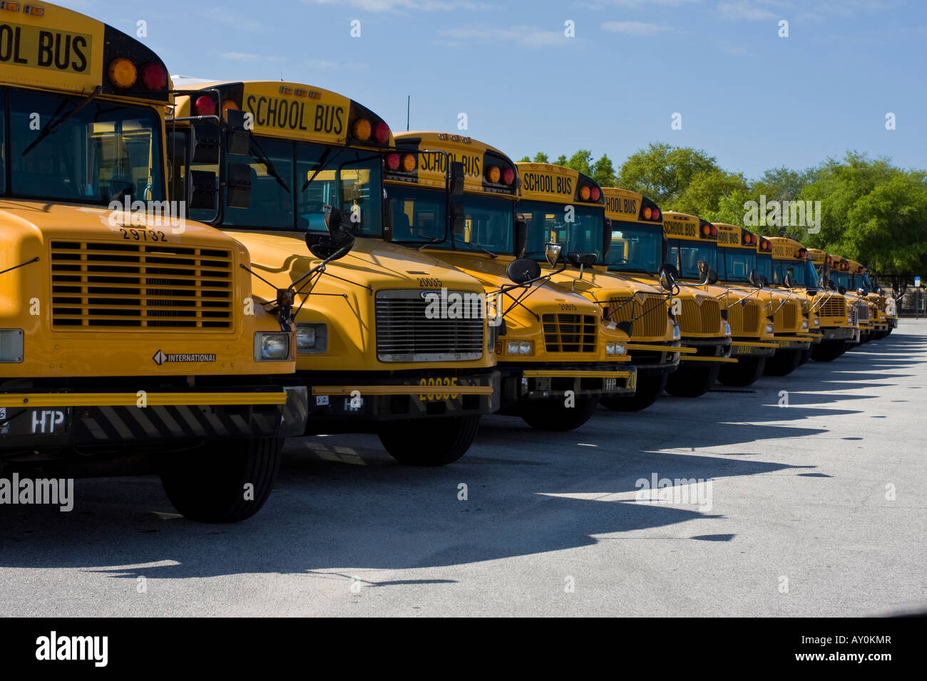 Row of School Buses Stock Photo - Alamy