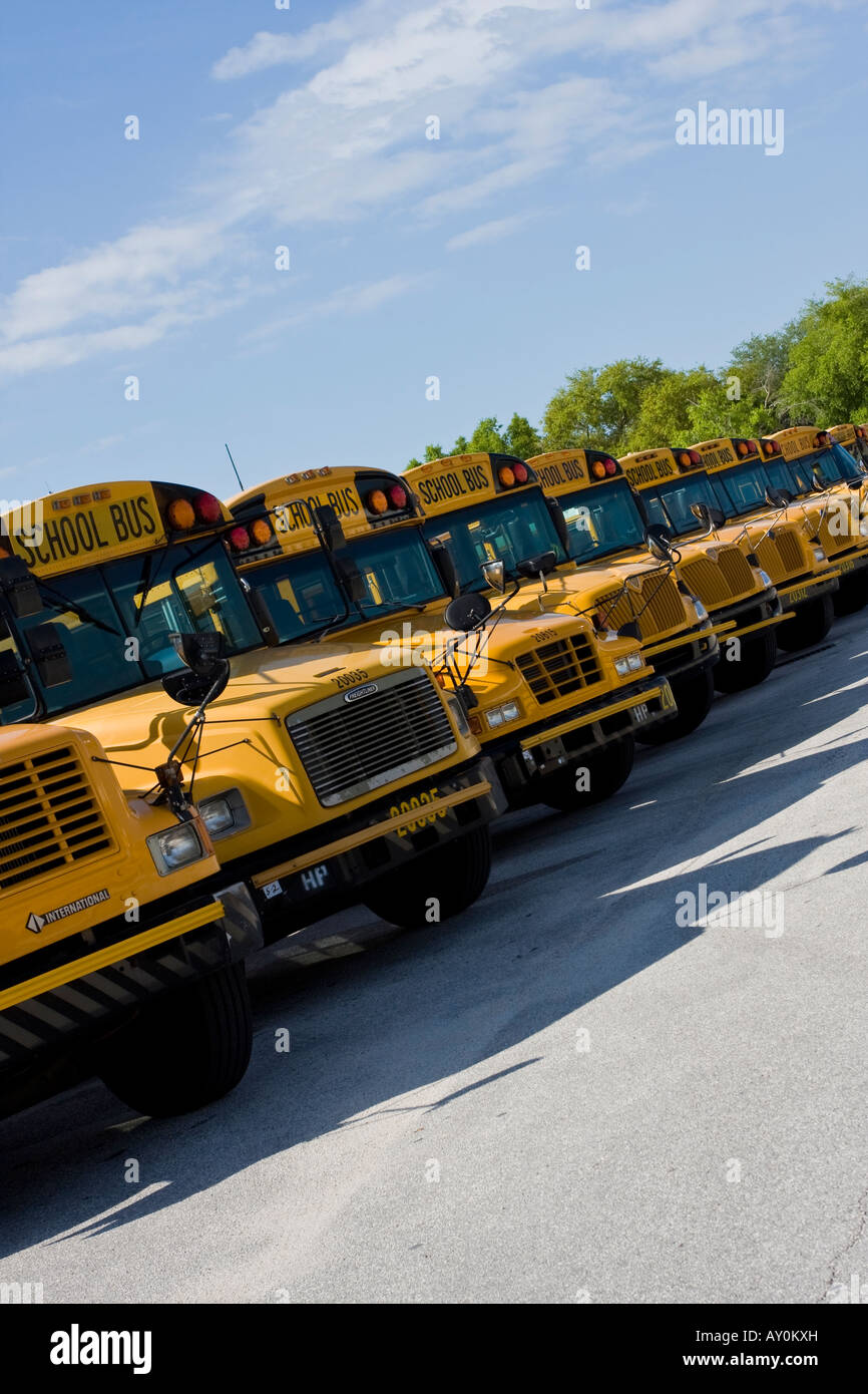 Row of School Buses Stock Photo - Alamy