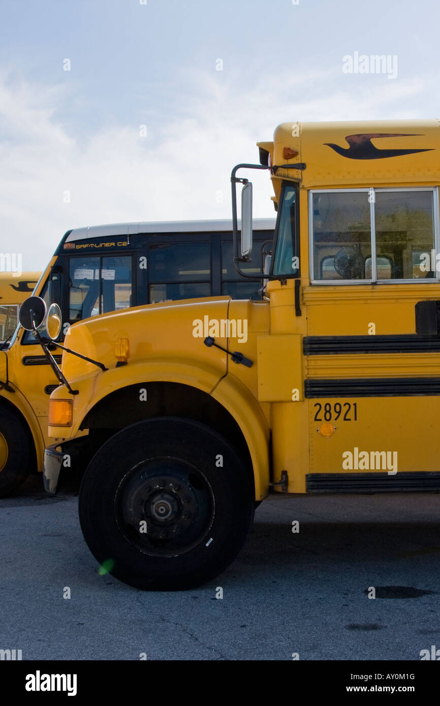 Row of School Buses Stock Photo - Alamy