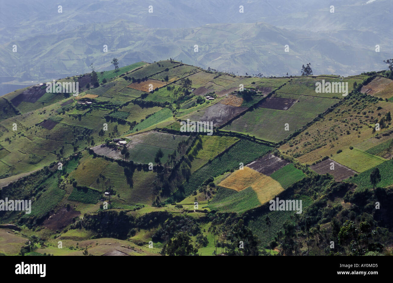 Landscape and farming land around the village of Chugchilan near ...