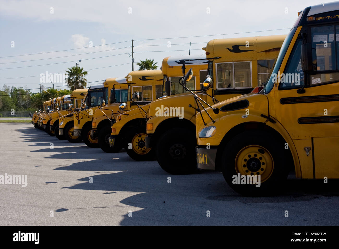 Blue bird school bus hi-res stock photography and images - Alamy