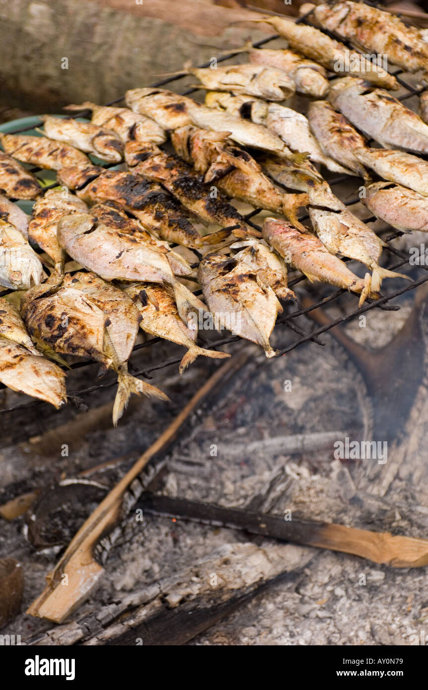 Fish being barbequed on a wood fire, Mapia Atoll, West Mapia, Indonesia ...
